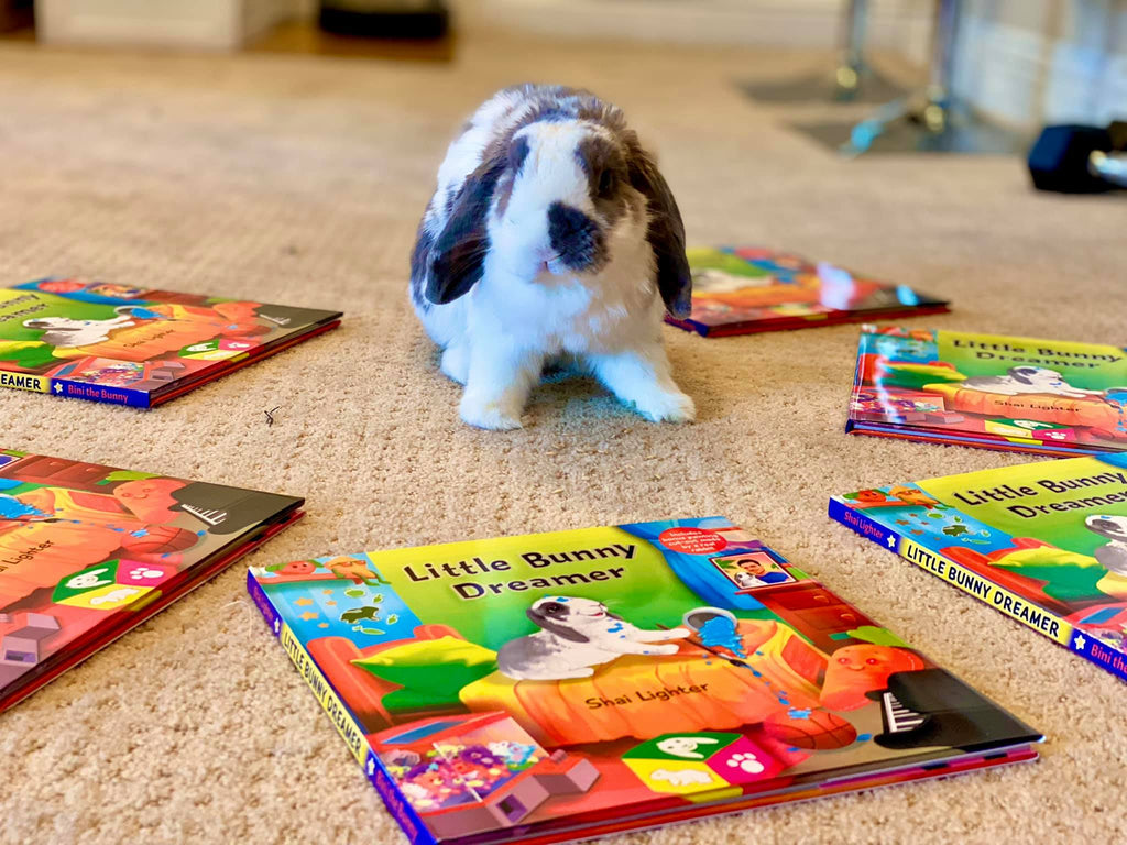 Little Bunny Dreamer - Book by Bini the Bunny and Shai Lighter - Hardc ...